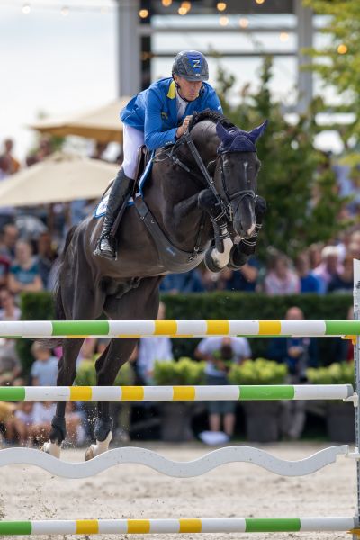 DOMINATOR 2000 Z - A phenomenal phenomenon! | Studfarm Zangersheide